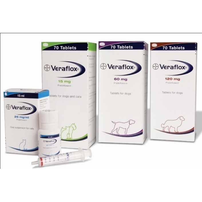 VERAFLOX GATO 25 MG SUSP ORAL 15 ML | Proyma Ganadera S.L.