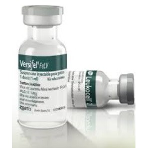 VERSIFEL FELV 25X1 DOSIS | Proyma Ganadera S.L.